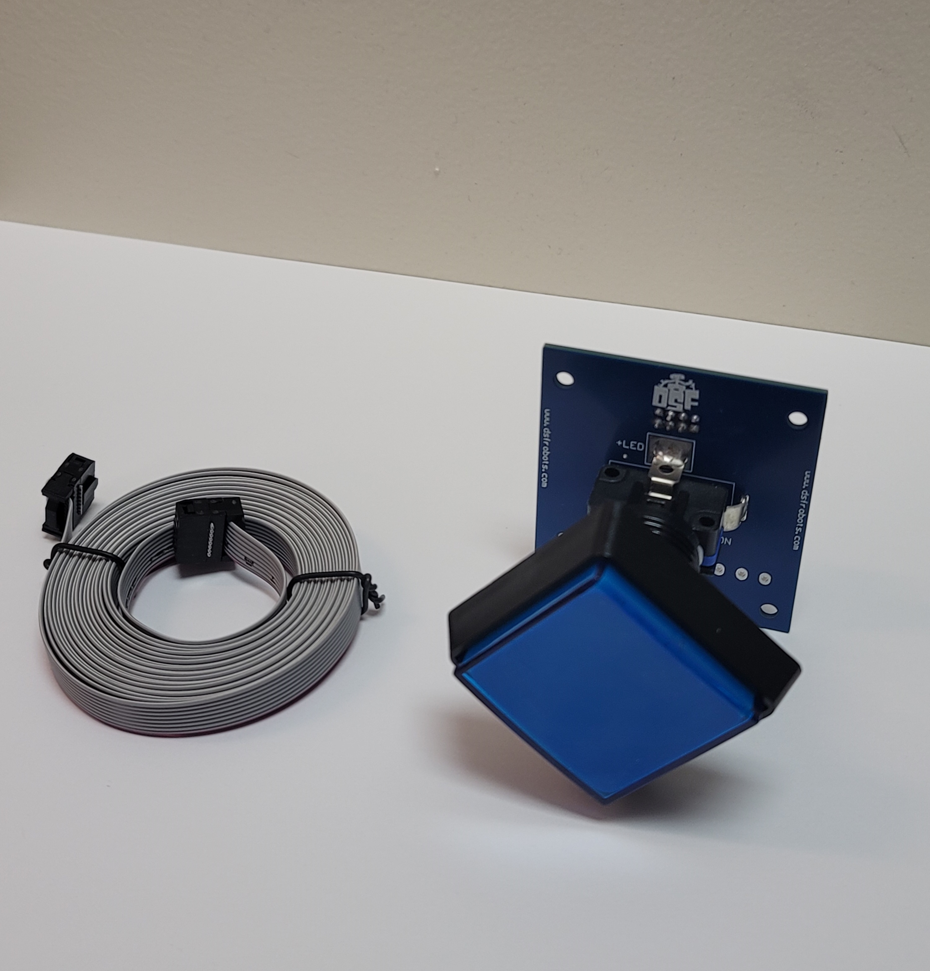 DsfRobots, Custom Animatronics and Control Systems